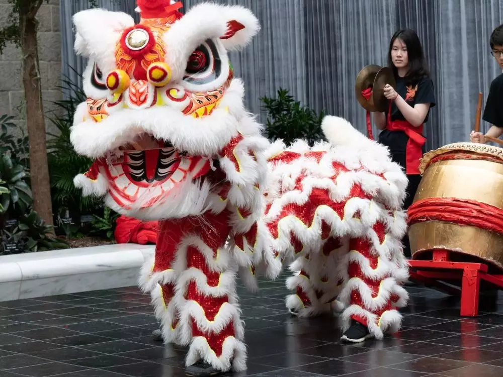 Lunar New Year Festivities