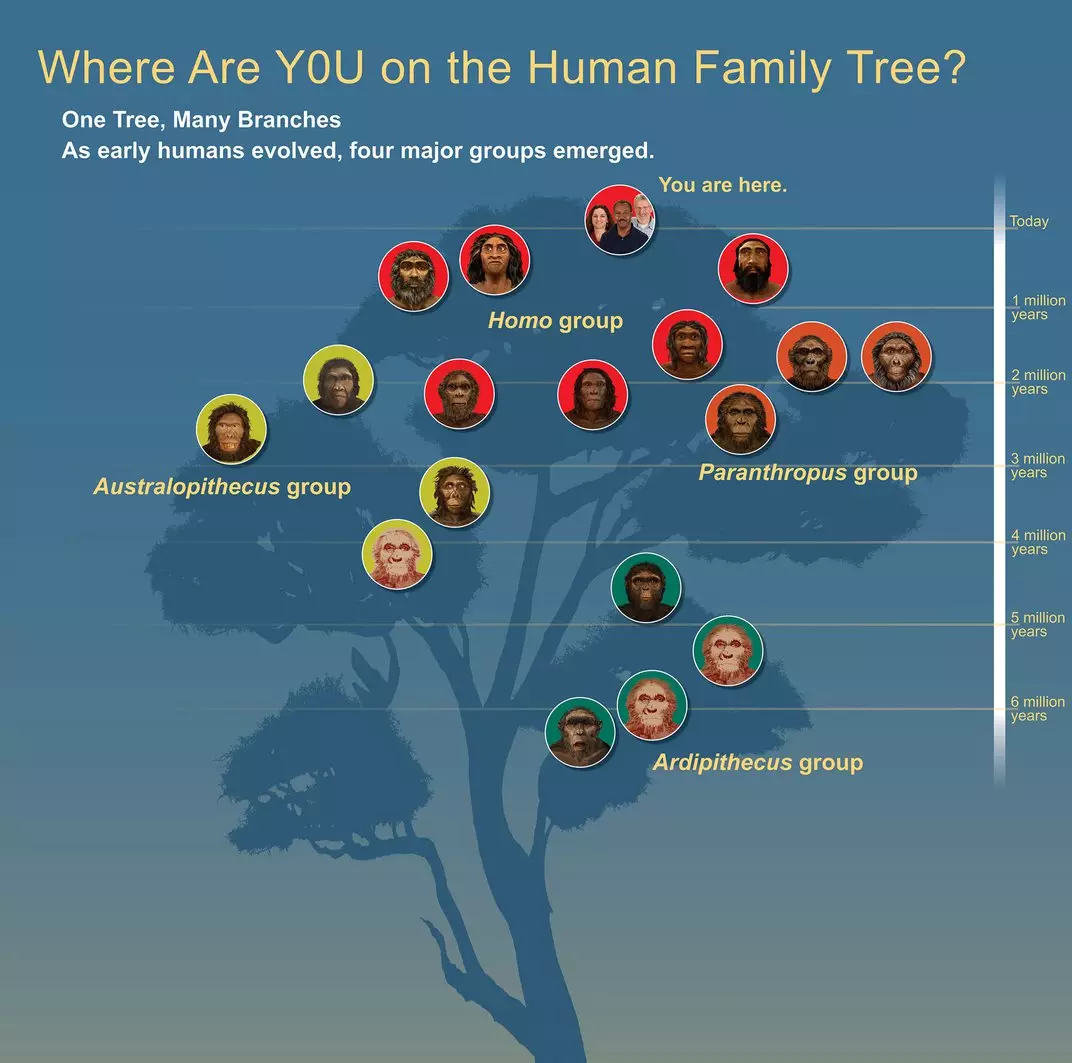 ต้นไม้ครอบครัวมนุษย์