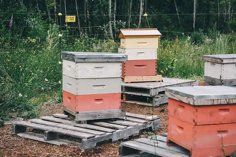 Z farmy do láhve: Na této pivní farmě v oblasti Vancouveru se vaří piva mezi chmelem 34807_5