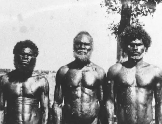 მშობლიური ავსტრალიელები, 1939 წ