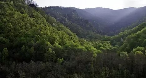 Festoni Ditën e Arborit duke mbjellë një pemë në Muzeun e Komunitetit Anacostia të Premten.