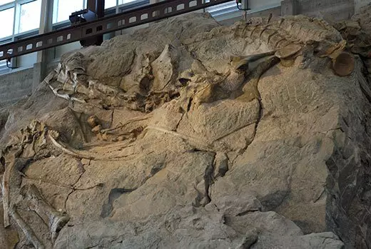 Američko Monumental Dinosaur Site 34875_2