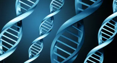 Genome sequence သည် မကြာမီ နေ့စဉ်ဆေးပညာ၏ တစ်စိတ်တစ်ပိုင်းဖြစ်လာမည်ဖြစ်သည်။