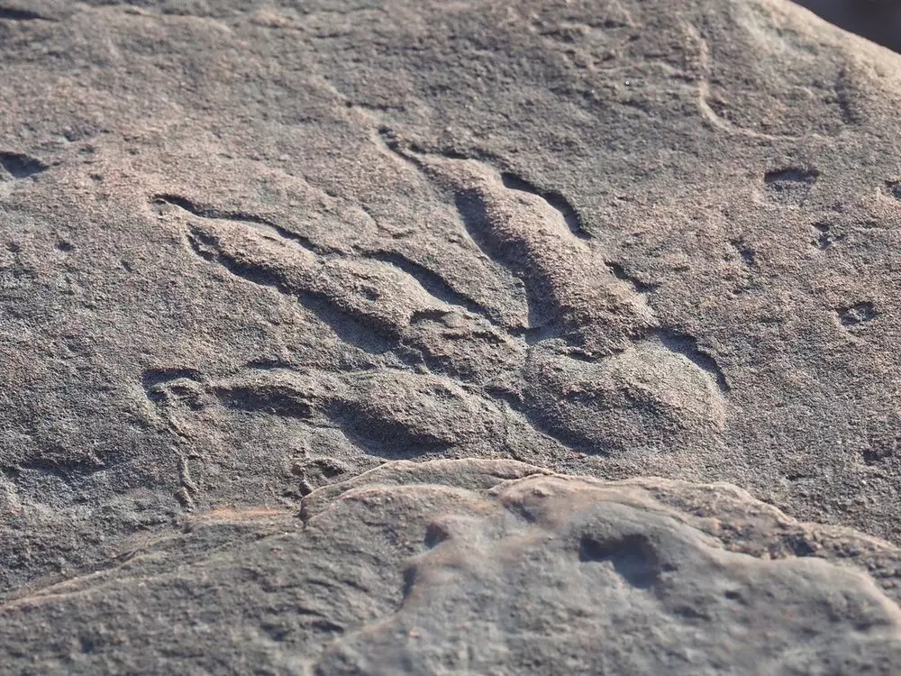 Zdjęcie przedstawia skamieniały odcisk stopy w skale