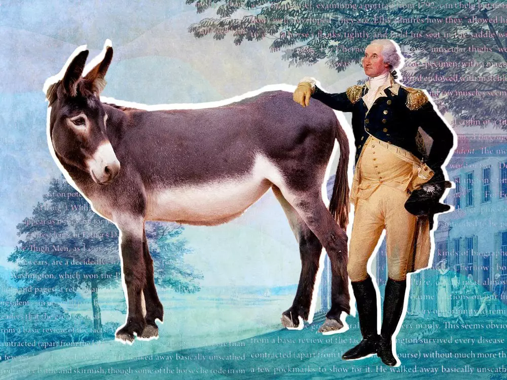 George Washington en een muilezel