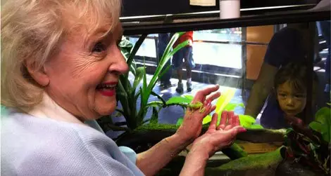 Glumica Betty White drži žabu od lista lemura tokom današnje turneje u Nacionalnom zoološkom vrtu