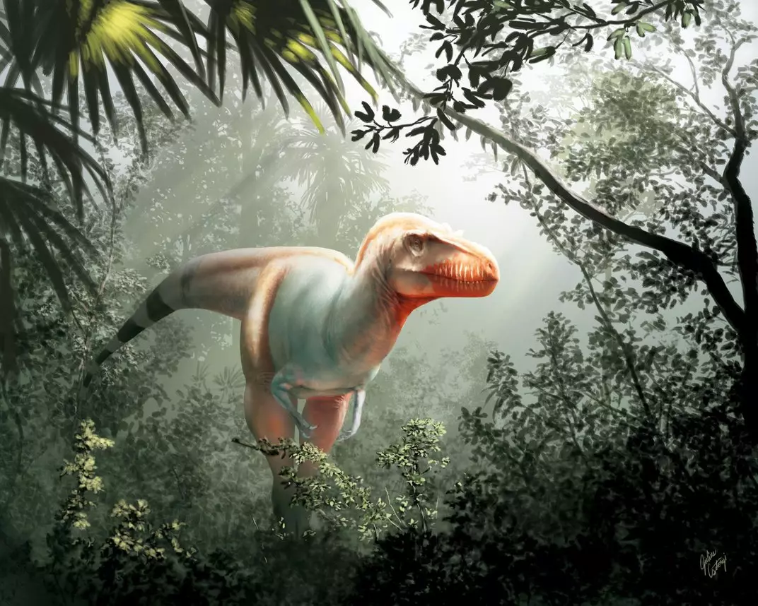 Nowo odkryty tyranozaur był kluczem do powstania olbrzymich mięsożerców