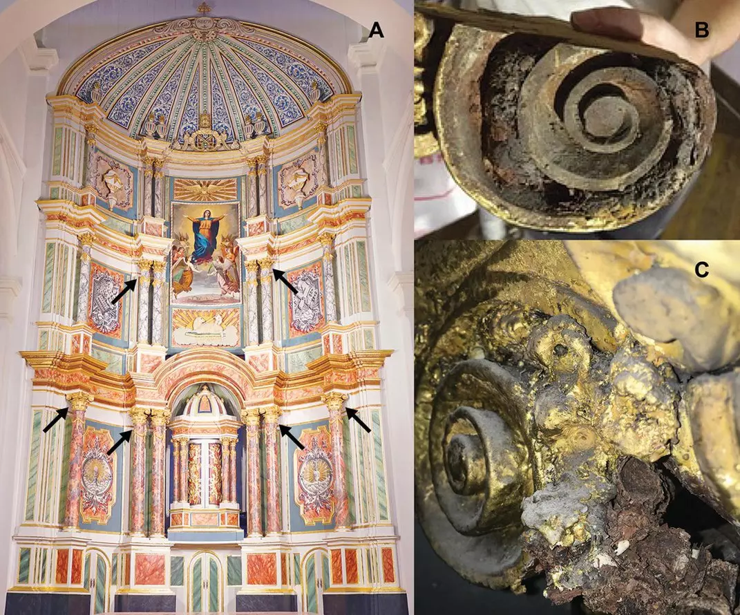 Локација мумифицираних пчелињих гнезда у олтарској слици