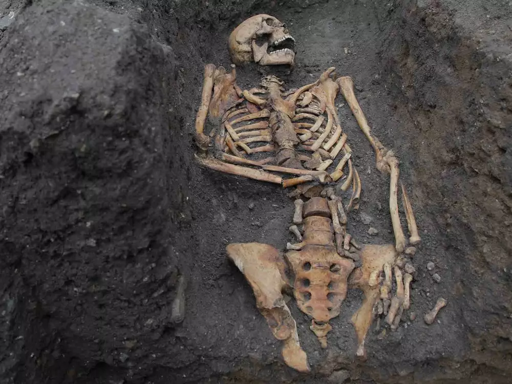 Szkielet otoczony ciemnobrązową ziemią i błotem; kości ułożone są w pozycji leżącej z głową zwróconą na bok, wszystkie pożółkłe