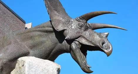En skulptur av Torosaurus