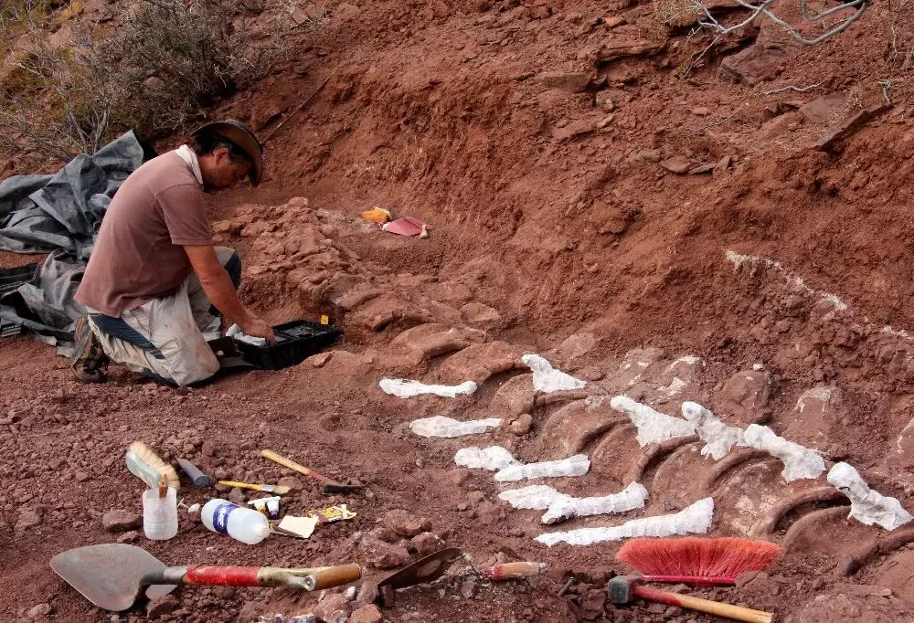 Ahli paleontologi ngagali di Formasi Candeleros di Lembah Walungan Neuquen, Argentina