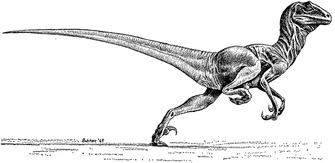 Deinonychus ، 1969