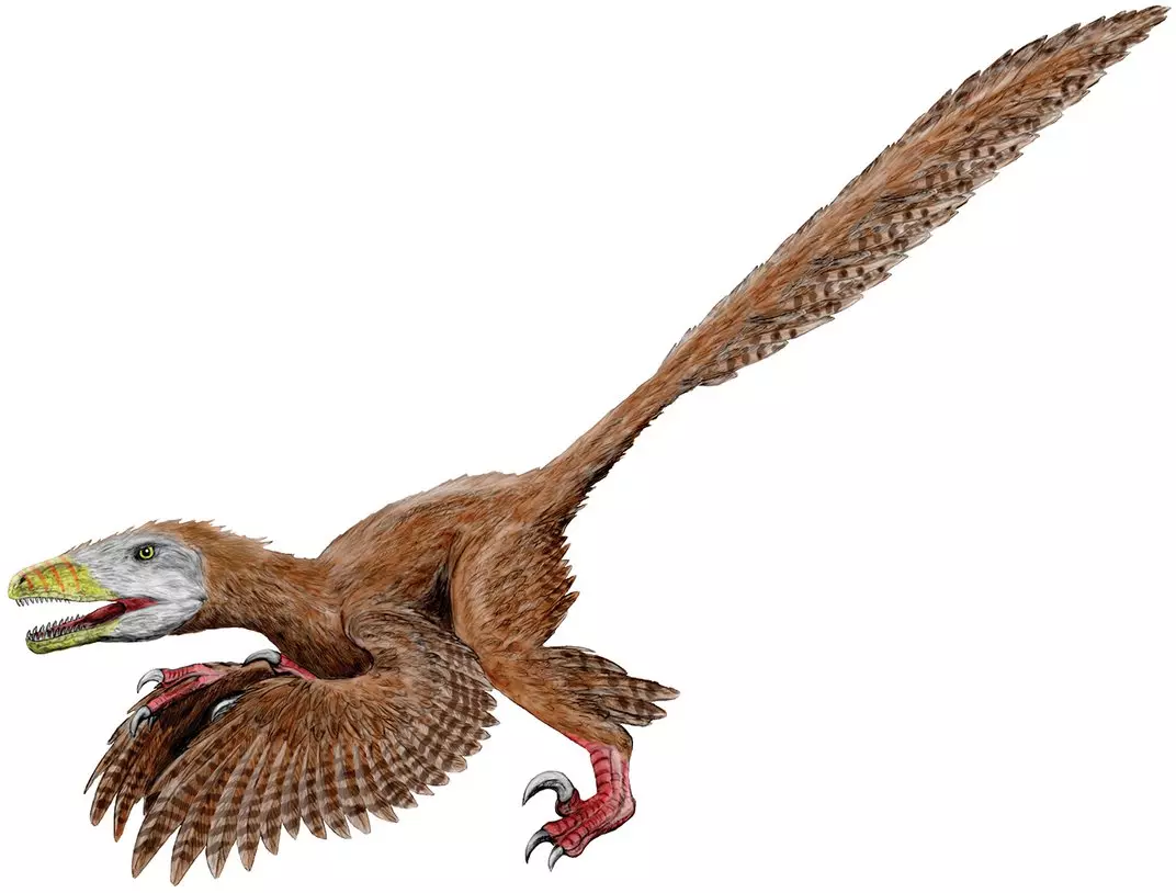 Канаттуу Deinonychus