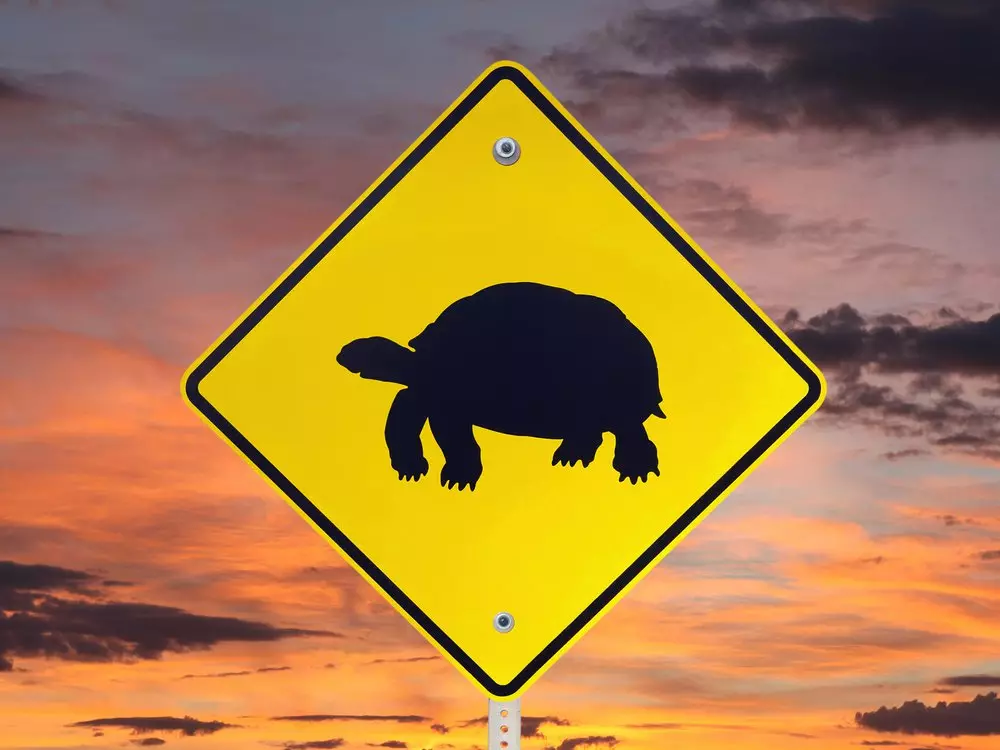 Για να σώσετε τις χελώνες της ερήμου, κάντε τη διατήρηση σε πραγματικό βιντεοπαιχνίδι