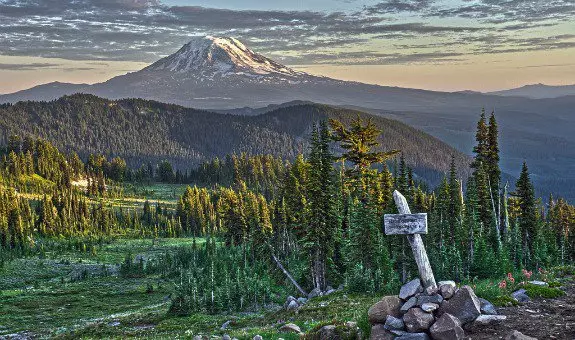 Maonero anoshamisa ari pedyo nePacific Crest Trail muLewis County, Washington.