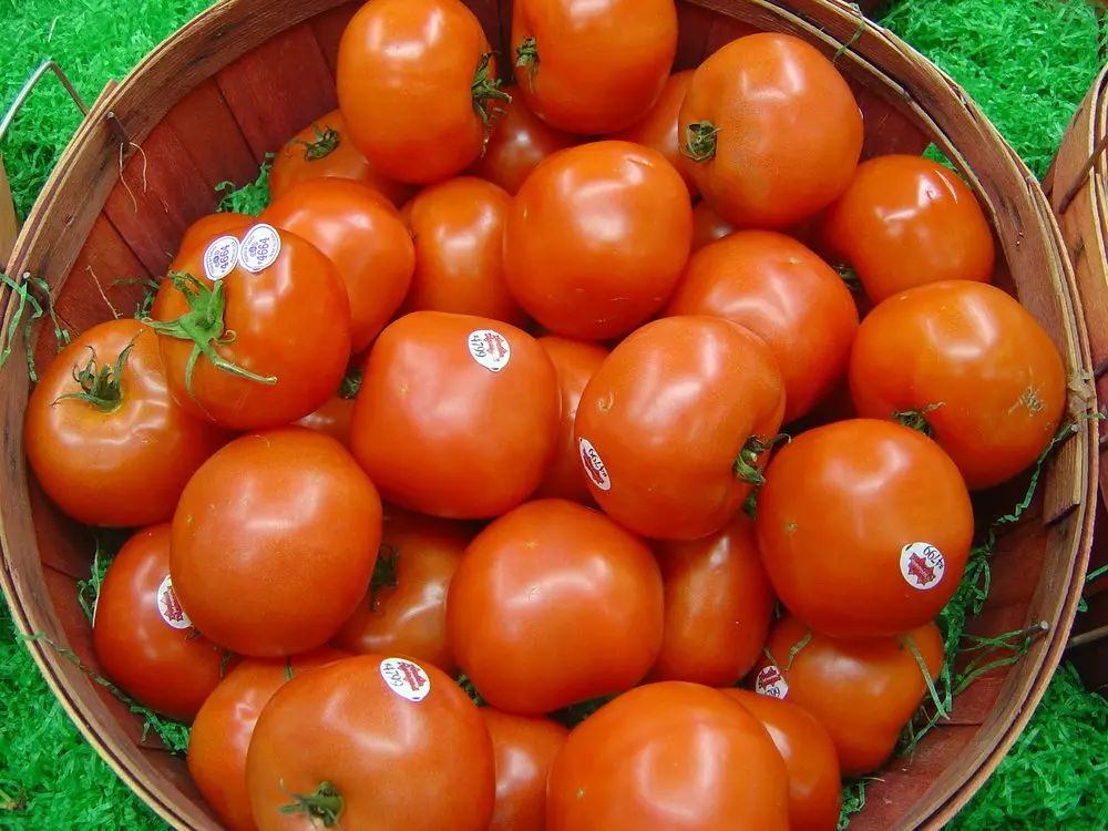 Fresh_tomatoes.jpg