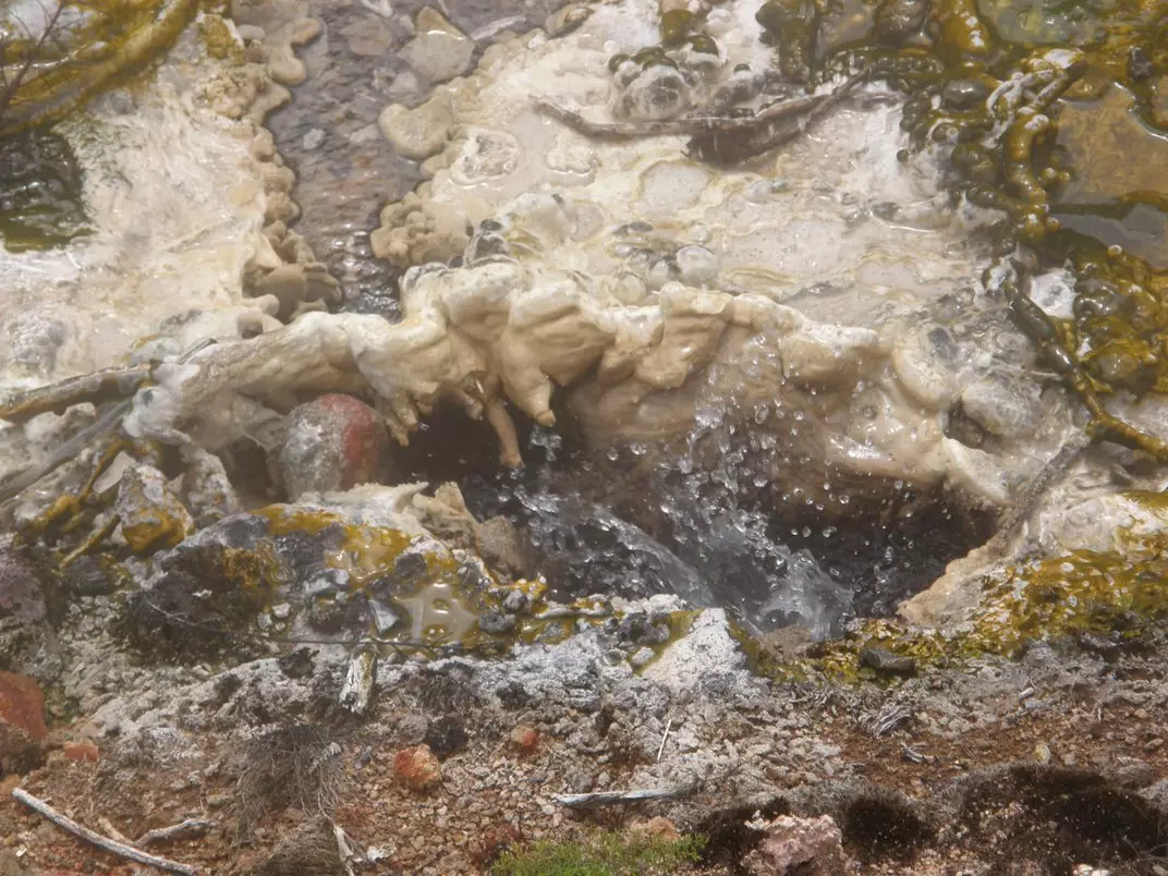 Fossiler från forntida varma källor tyder på att liv kan ha utvecklats på land 36287_10