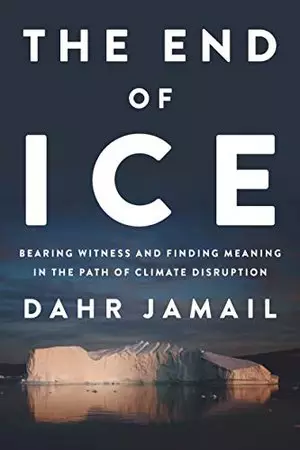 Pamja paraprake e miniaturës për 'Fundi i akullit: Dëshmia dhe gjetja e kuptimit në rrugën e përçarjes klimatike