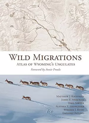 Pratonton lakaran kecil untuk 'Wild Migration: Atlas of Wyoming's Ungulates