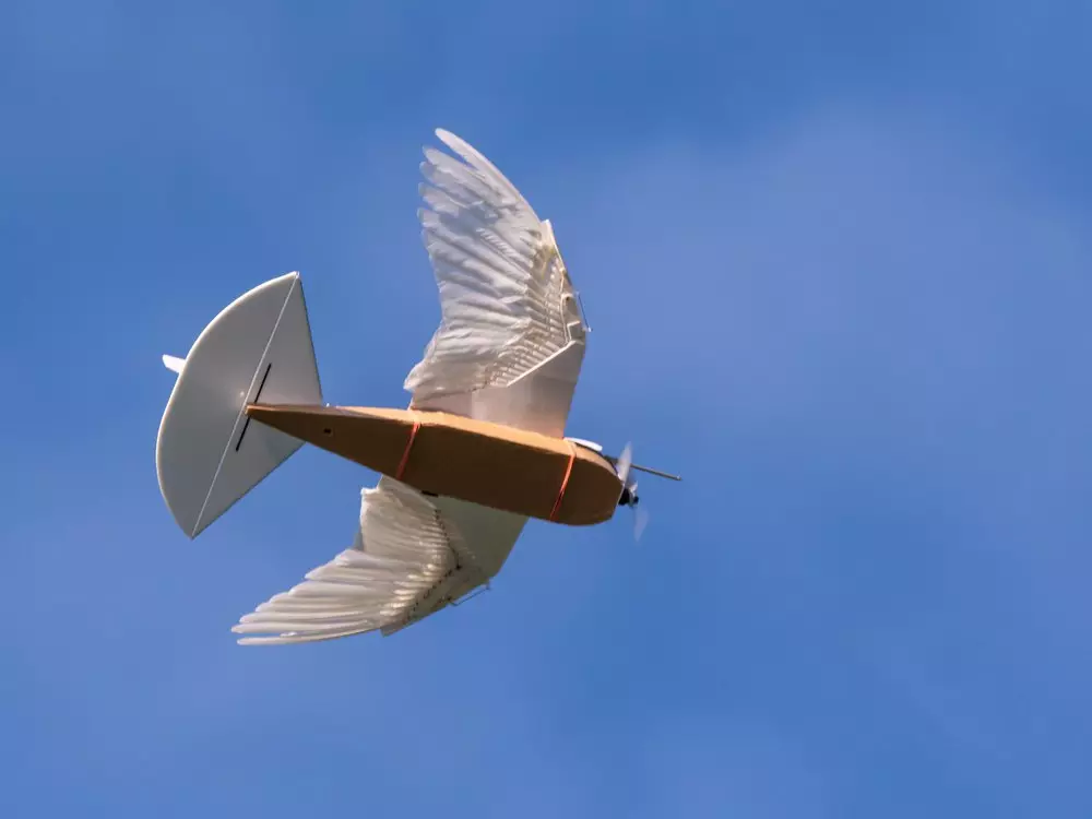 PigeonBot fliegt