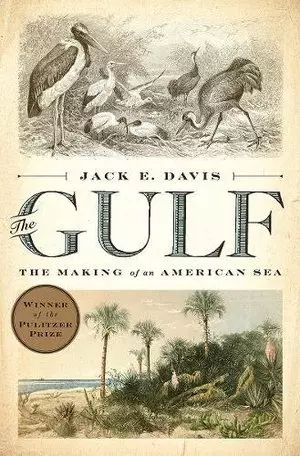 Previzualizare miniatură pentru „The Gulf: The Making of An American Sea