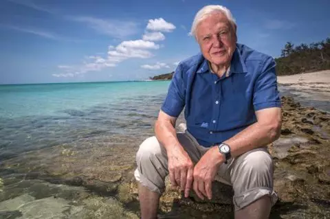 35 Kiu Faris Diferencon: David Attenborough