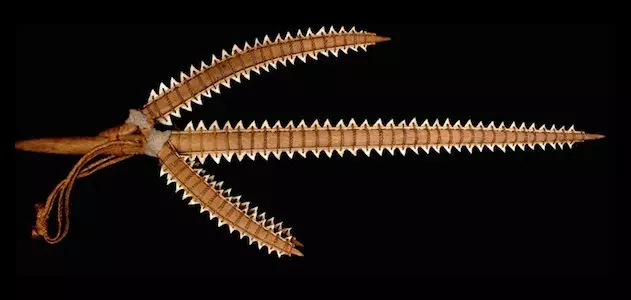Trizob, obložen z zobmi morskega psa, uporabljen v študiji.