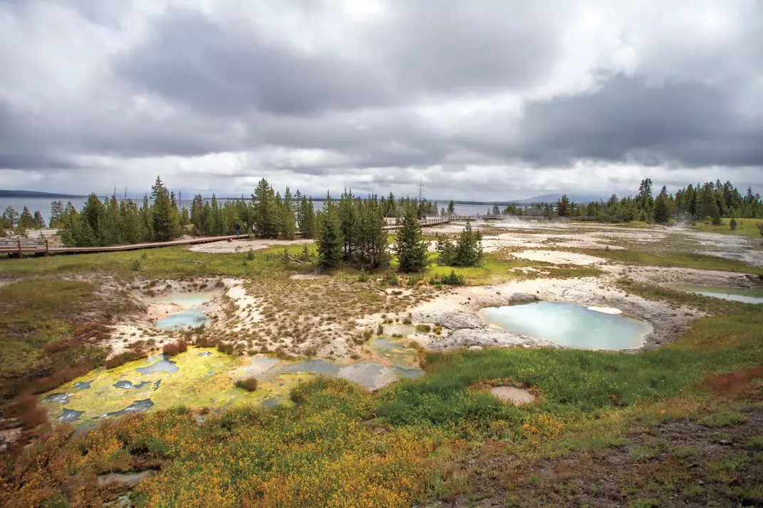 ທັດສະນະກວ້າງຂອງ West Thumb Geyser Basin