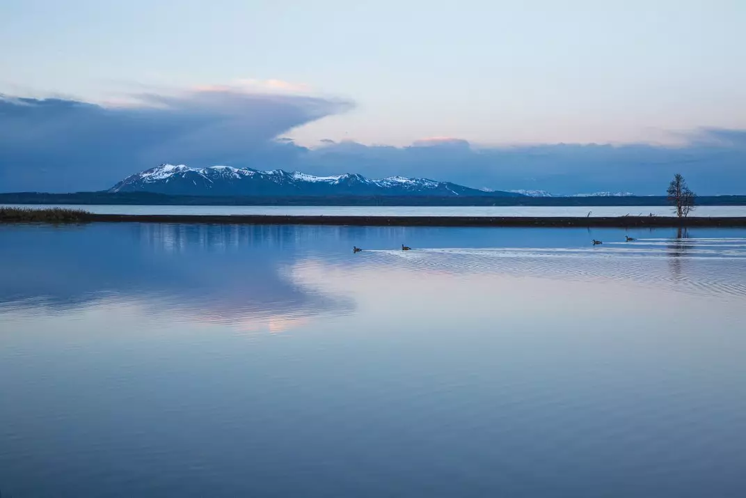 ທະເລສາບ Yellowstone