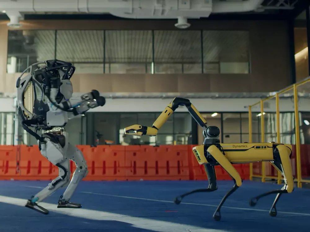 Robot Atlas nke mmadụ na-agba egwu n'akụkụ aka ekpe nke ihe onyonyo a, na-agba egwu robot dị ka Spot n'aka nri.