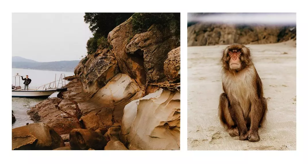 Onani gombe la Koshima ndi macaque achichepere aamuna aku Japan pagombe
