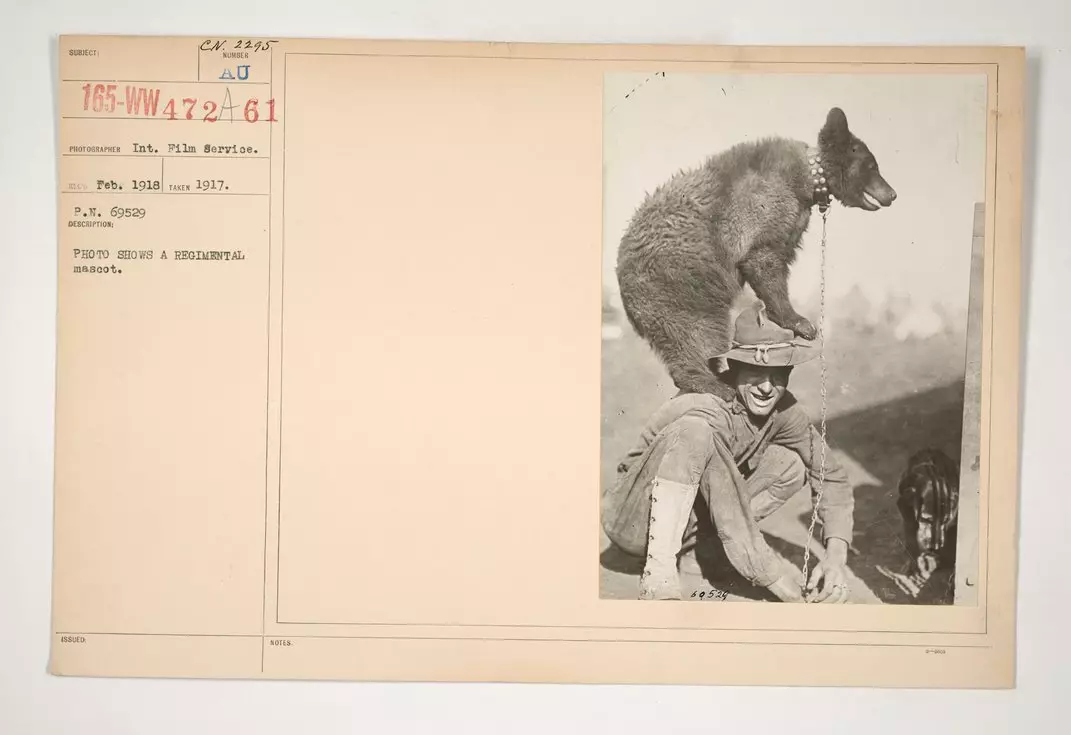 The Animals That Helped Win World War I 36699_6