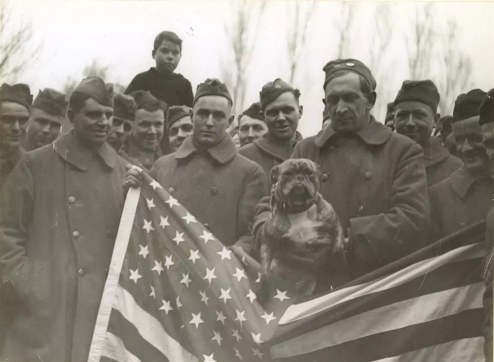 Los animales que ayudaron a ganar la Primera Guerra Mundial 36699_9