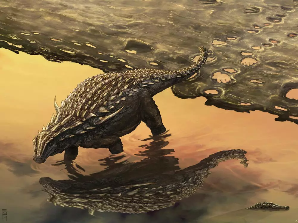 Hanyoyin sawun ankylosaurs