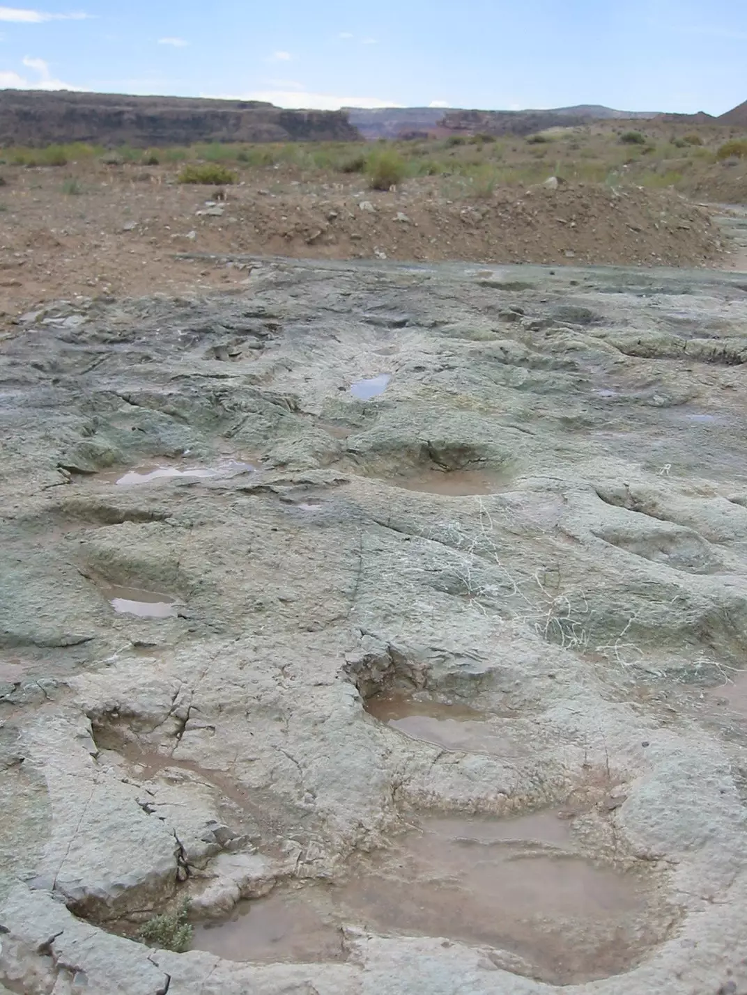 Masana burbushin halittu Sun Bude Dinosaur Stomping Ground a Utah 36760_4