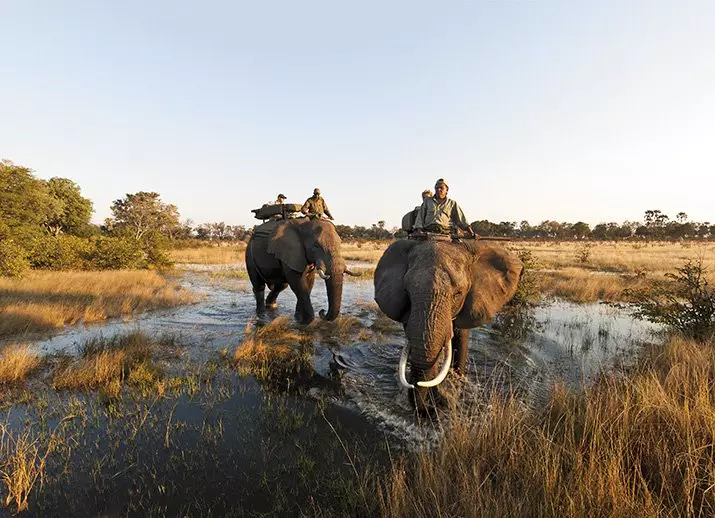 象の背中でアフリカを探索する喜びと危険 36827_3