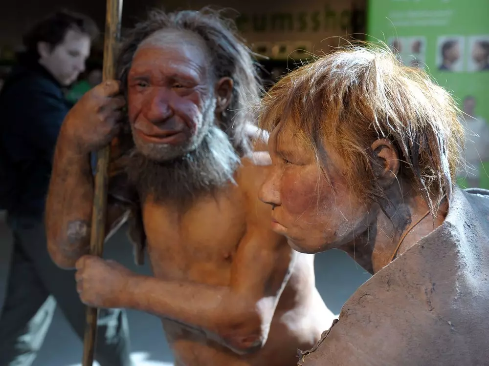 Cwpl Neanderthalaidd