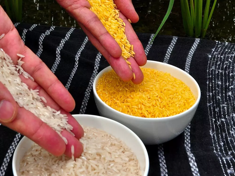 Goldener Reis.jpg