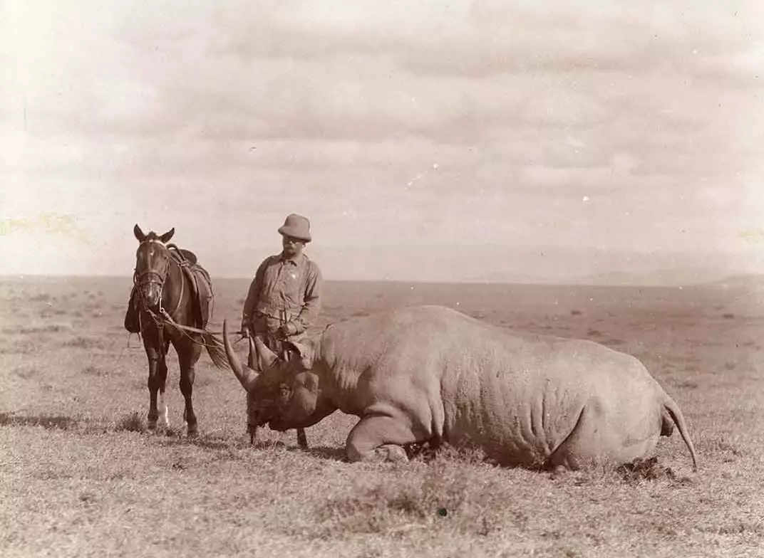 L'epica (ma stranamente altruista) caccia di Teddy Roosevelt a un rinoceronte bianco 37017_11