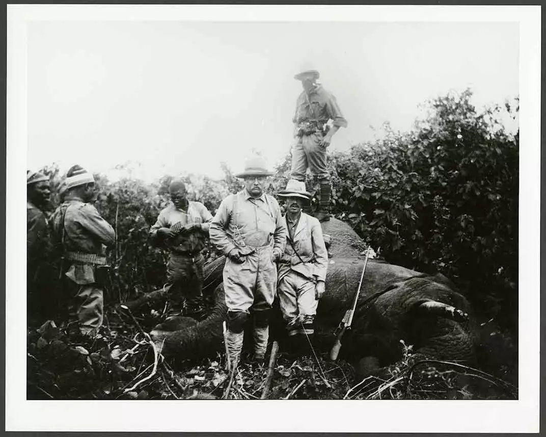 Teddy Roosevelts episke (men mærkeligt altruistiske) jagt på et hvidt næsehorn 37017_3