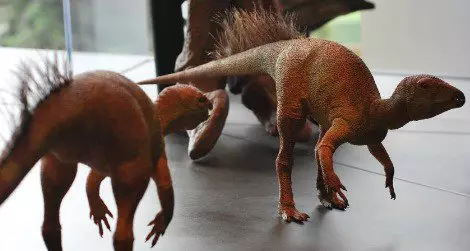 Un par de modelos de Fruitadens erizados expostos no Museo de Historia Natural de Los Ángeles
