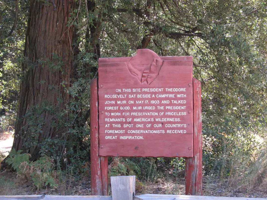 Yosemite Roosevelt Muir kanpalekua