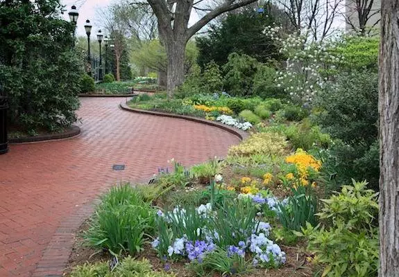 Mary Livingston Ripley Garden ၏ အကွေ့အကောက်လမ်းများသည် တိတ်ဆိတ်ငြိမ်သက်သော အပန်းဖြေအနားယူမှုကို ပေးစွမ်းသည်။