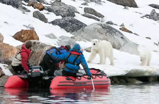 Brad Ohlund natáčí ledního medvěda pro film To the Arctic 3D