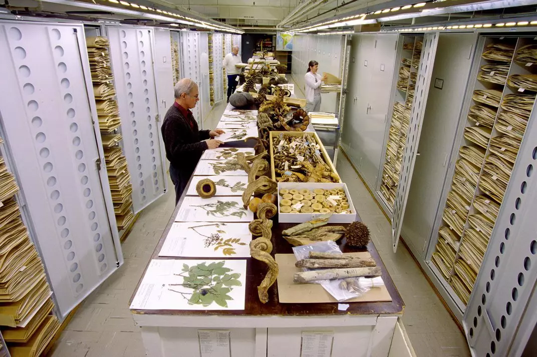 Die storie agter daardie kakelose foto's van die versamelings by die Natuurhistoriese Museum 37241_3