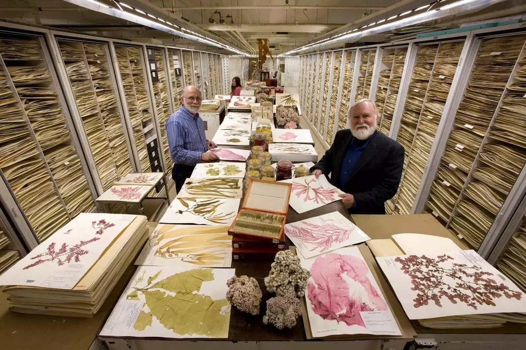 The Story Behind Those Jaw-Dropping Photos of the Collections at the Naturhistoria Muzeo 37241_5