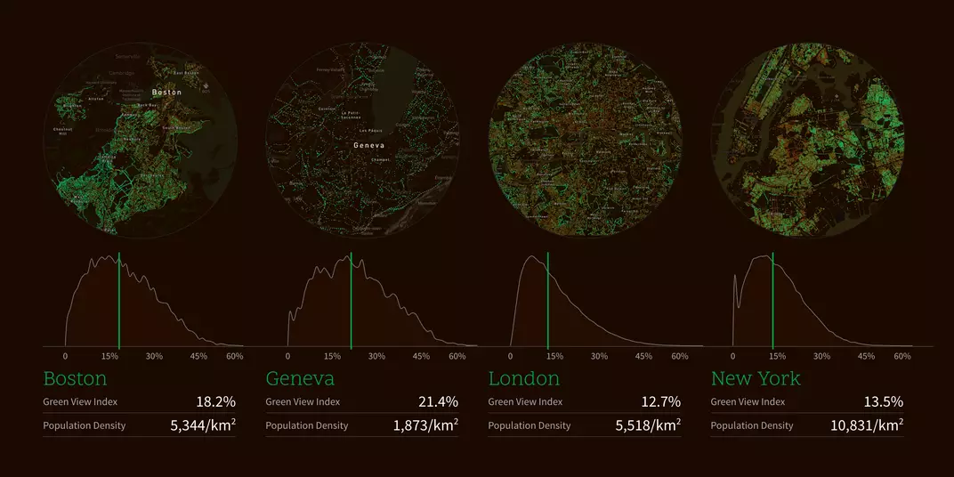 麻省理工學院的“Treepedia”展示了你的城市是如何綠化的