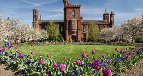 Secouez l'hiver avec une chasse au trésor dans les Smithsonian Gardens.