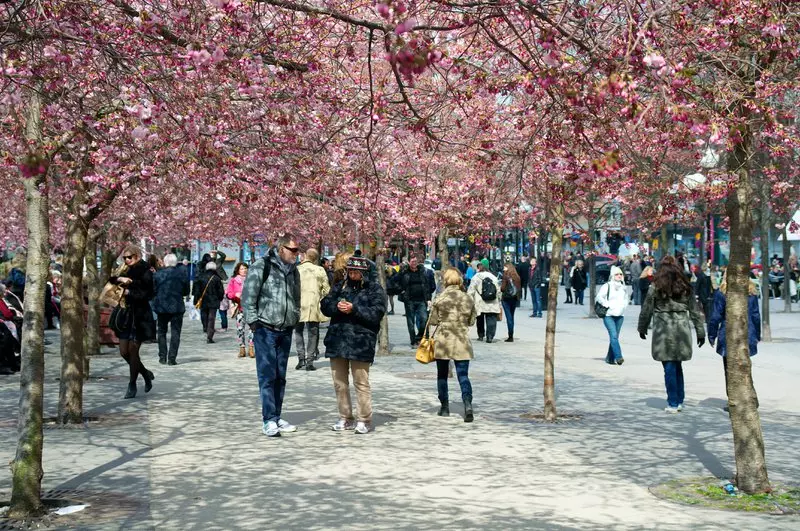 Gdje vidjeti najbolje cvjetove trešnje širom svijeta 37500_2