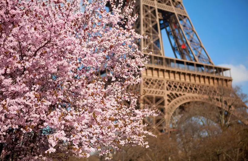 Dónde ver las mejores flores de cerezo en todo el mundo 37500_4